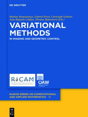 Variational Methods by Maïtine Bergounioux · OverDrive: Free ebooks, audiobooks & movies from ...